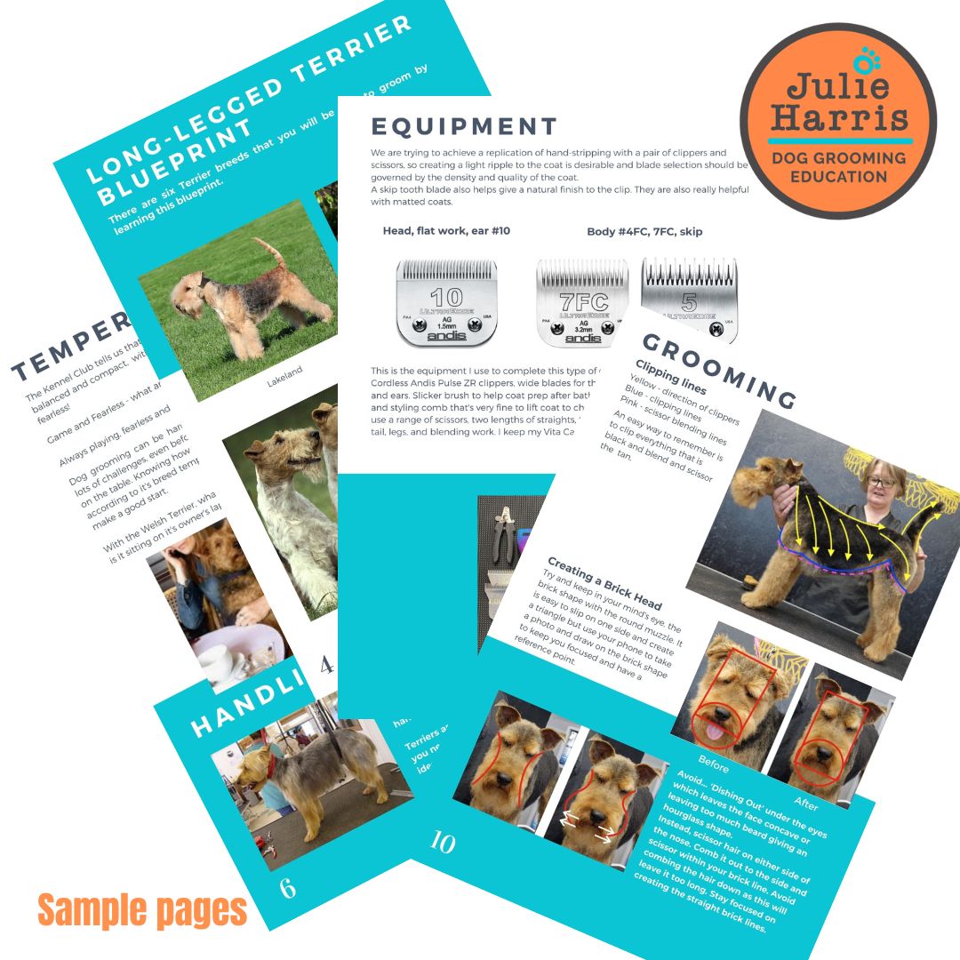 Terrier Grooming Book - Dog Grooming Digital Book – Julie Harris Groomer
