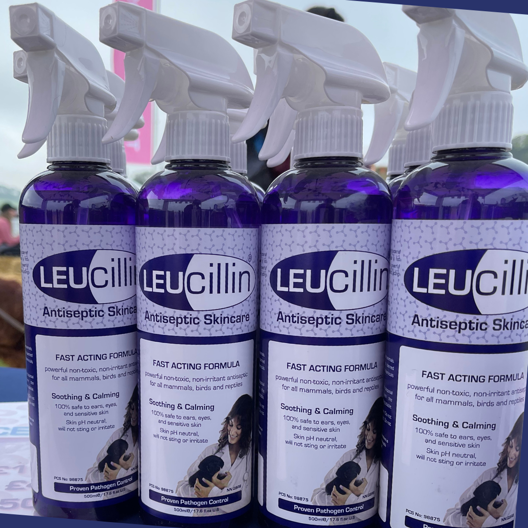 Leucillin - Natural Antiseptic Spray – Julie Harris Groomer